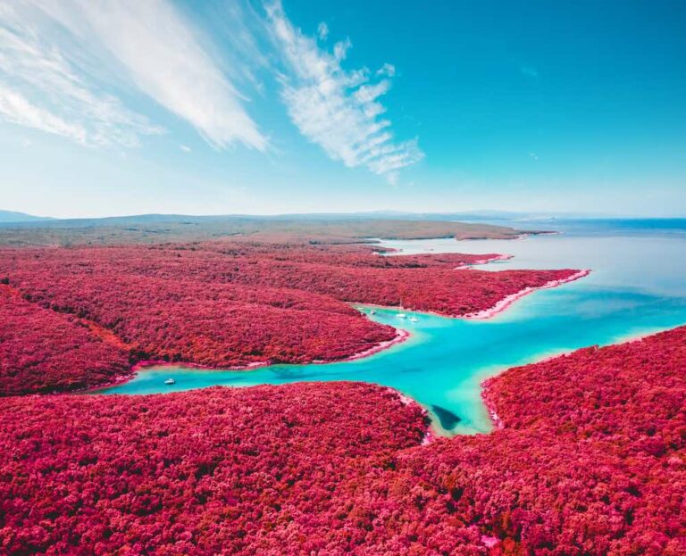 Infrared Photography 101 - All You Need to Know