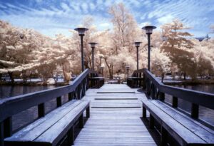Infrared Photography 101 - All You Need to Know