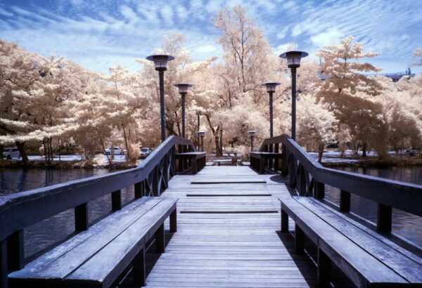 Infrared Photography 101 - All You Need to Know