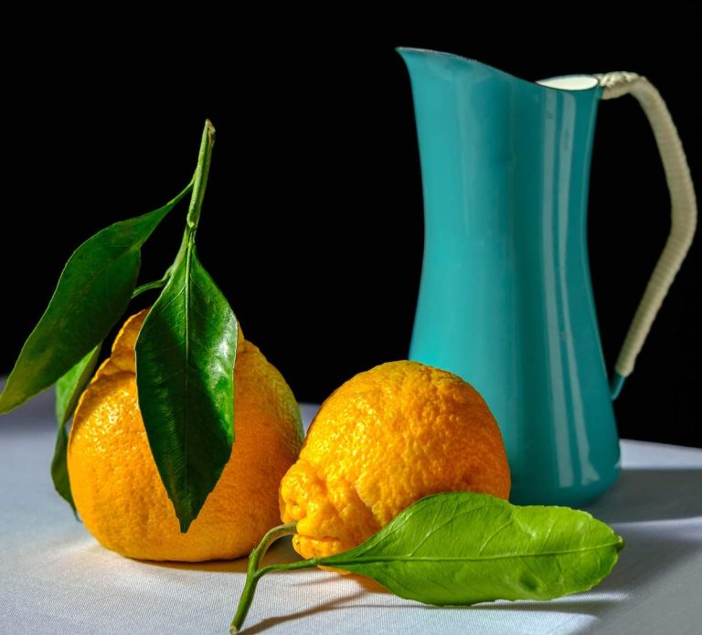34 Top Photography Trends in 2025