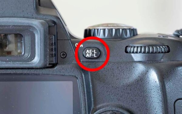 Back Button Focus: Why, When & How to Use It