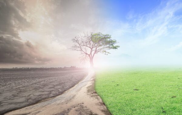 Environmental Photography: All You Need To Know