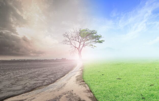 Environmental Photography: All You Need To Know