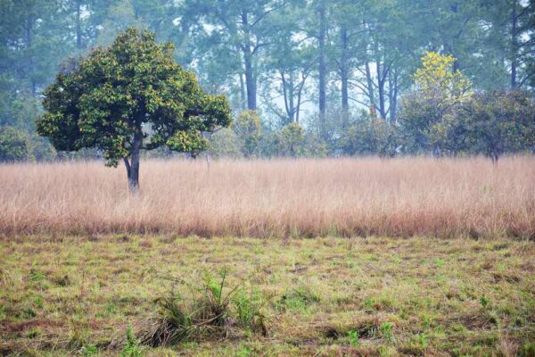 Environmental Photography: All You Need To Know