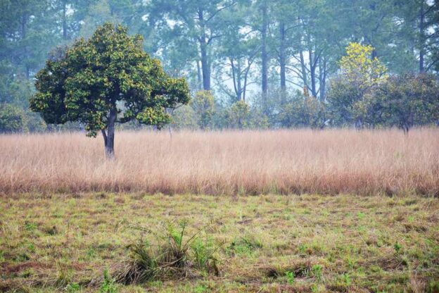 Environmental Photography: All You Need To Know