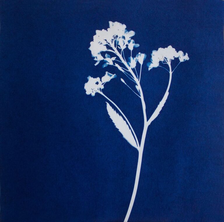 Experimental Photography: A Primer for the Curious