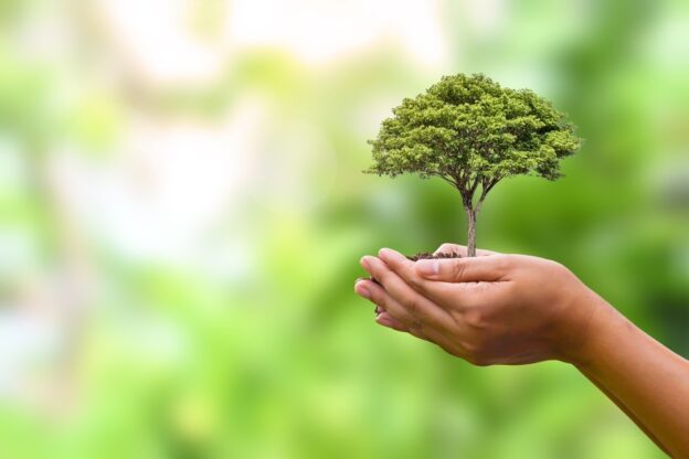 Environmental Photography: All You Need To Know