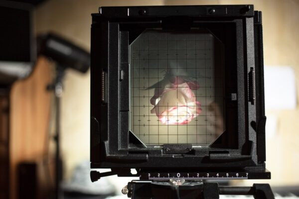 Experimental Photography: A Primer for the Curious