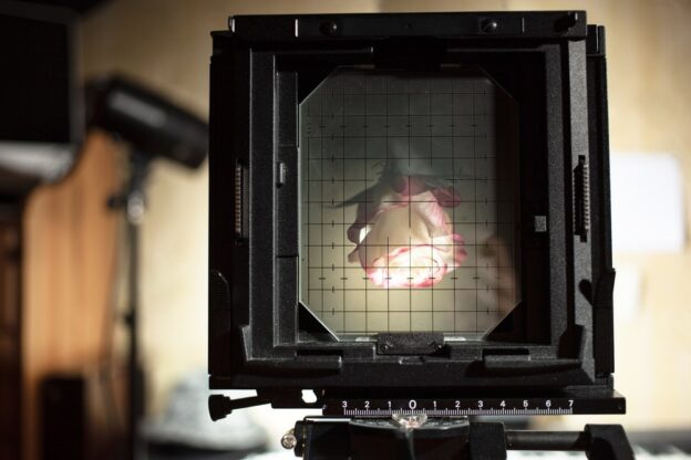 Experimental Photography: A Primer for the Curious