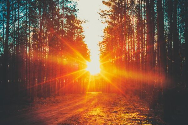 The Ultimate Guide to Sunset Photography