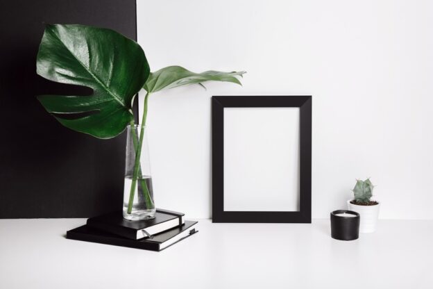 Still Life Photography: Ideas, Tips, and Theory for Success