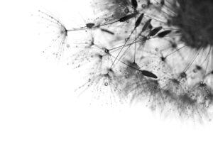 Abstract Photography for Beginners: Tips for Stunning Results