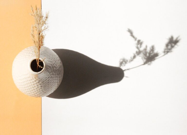 Still Life Photography: Ideas, Tips, and Theory for Success