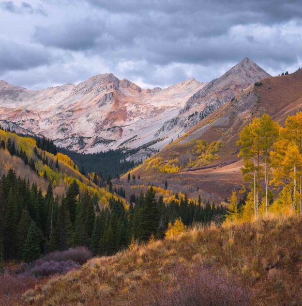 Interview with David Kingham | GBPW Podcast Episode 139