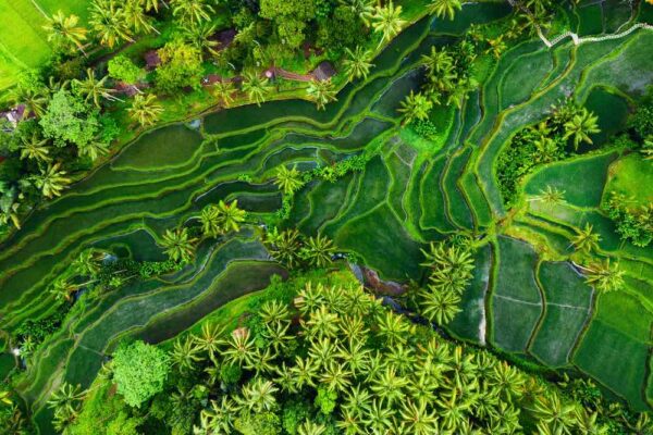 Drone Photography: A Quick Guide for Beginners