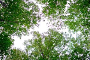 Chromatic Aberration and How to Fix It