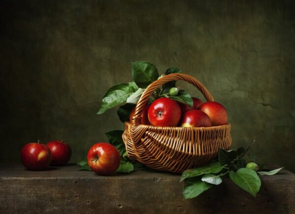 Still Life Photography: Ideas, Tips, and Theory for Success
