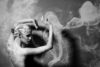 Abstract Photography for Beginners: Tips for Stunning Results