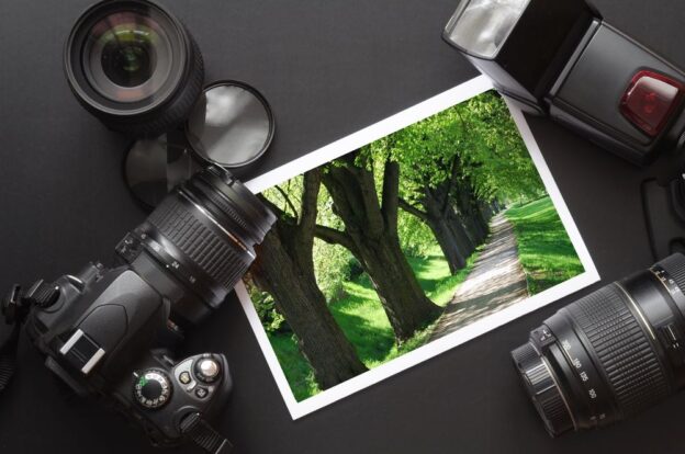 The Top 6 Outdoor Photography Tips for Beginners