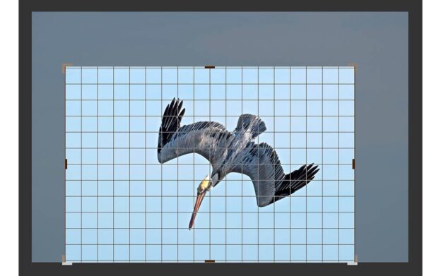 What is Resolution in Photography?