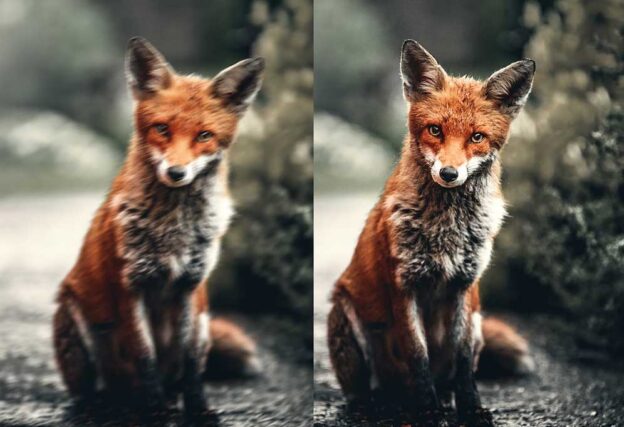 Image Stabilization: What, When, and How