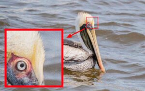 What is Digital Noise and How to Reduce It