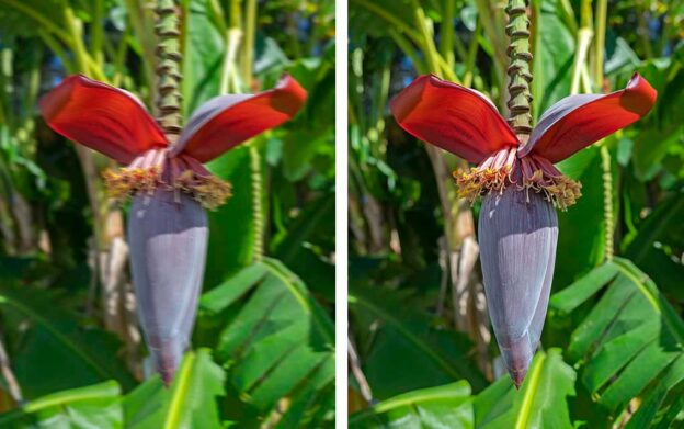 Image Stabilization: What, When, and How