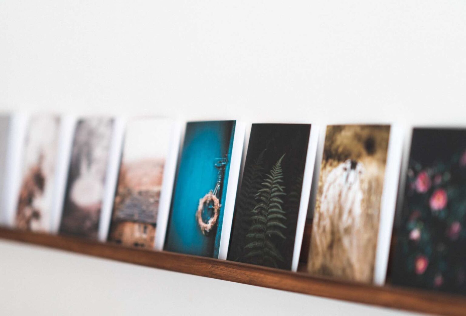 How to Organize Photos - Digital and Prints