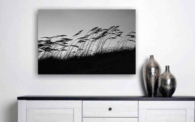 What is Resolution in Photography?