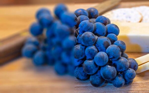 What is Resolution in Photography?