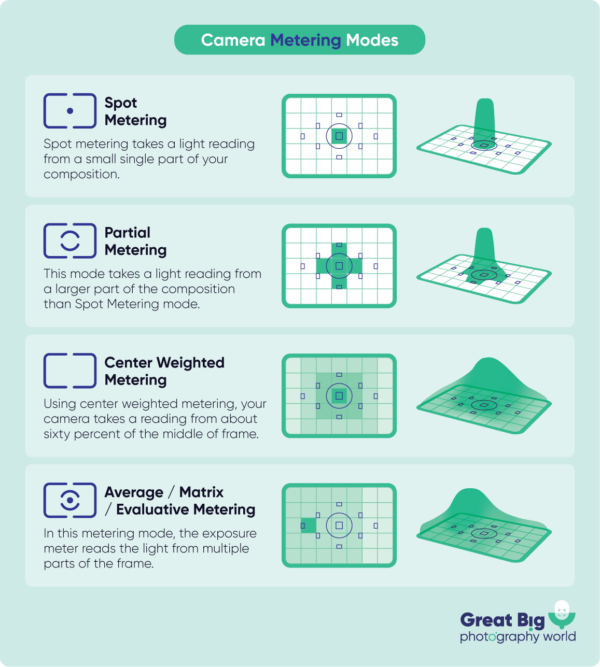 Camera Metering Modes Explained
