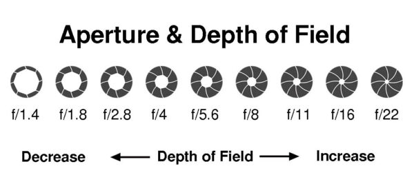 Understanding the Exposure Triangle