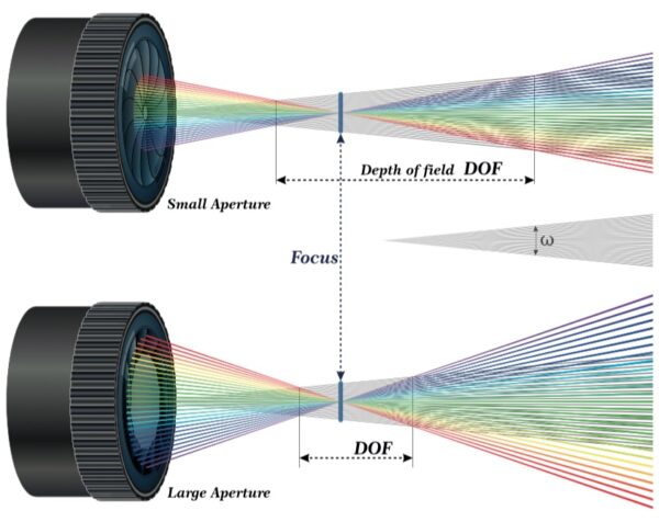 Focus Stacking: Your Ultimate Guide