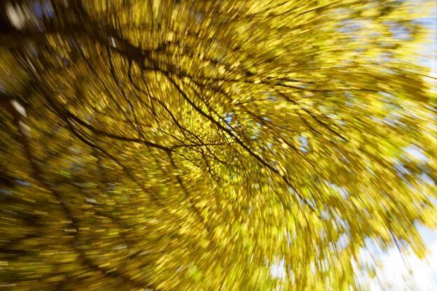 Camera Shake - The Definitive Guide to Steady Shots
