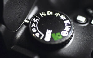 Focus Stacking: Your Ultimate Guide