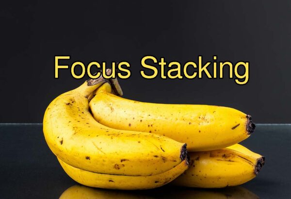 Focus Stacking: Your Ultimate Guide
