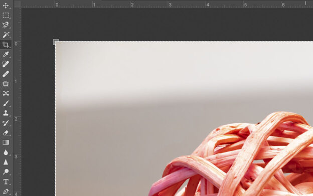 Focus Stacking: Your Ultimate Guide