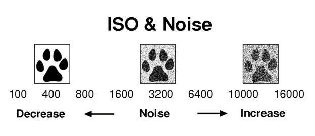 Understanding the Exposure Triangle