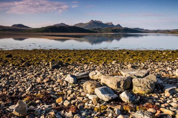 Focus Stacking: Your Ultimate Guide