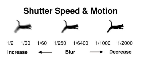 Understanding the Exposure Triangle