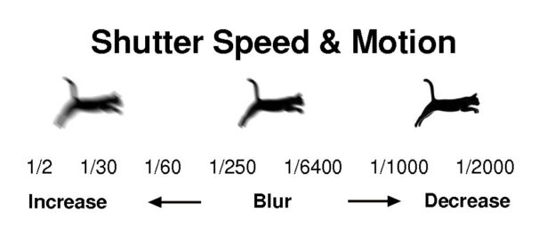 Understanding the Exposure Triangle