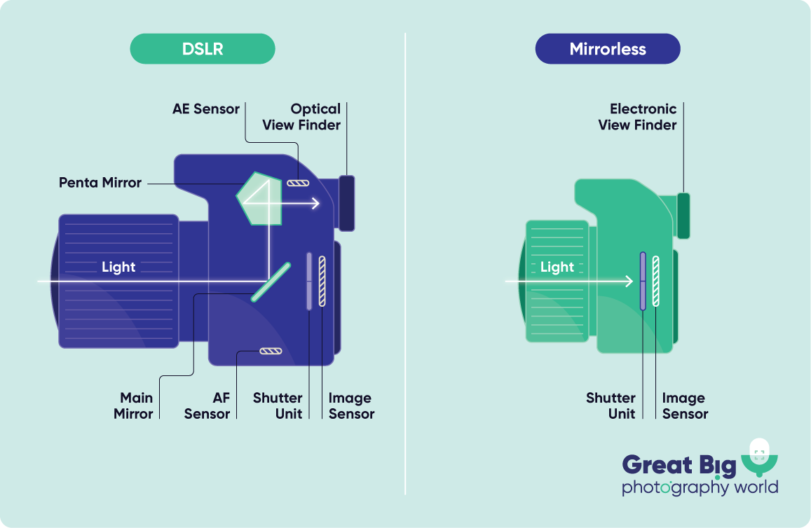 Mirrorless vs DSLR Cameras: Which One is Best for You?