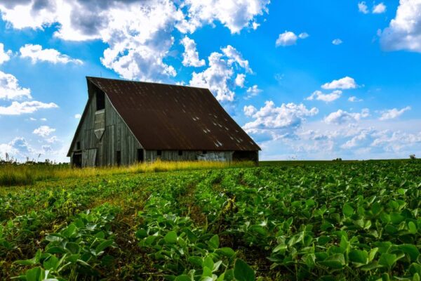 Landscape Photography: The Ultimate Guide with Pro Tips