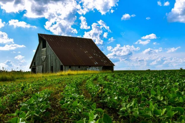 Landscape Photography: The Ultimate Guide with Pro Tips