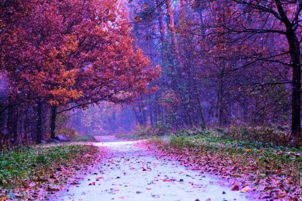 Overexposure vs Underexposure - A Complete Guide