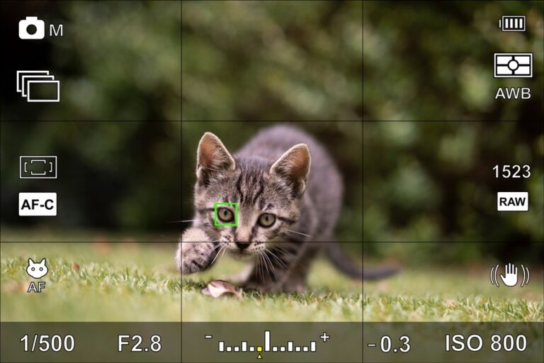 Overexposure vs Underexposure - A Complete Guide