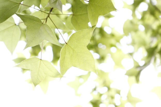 Overexposure vs Underexposure - A Complete Guide