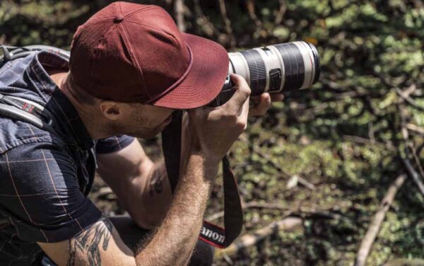 Wildlife Photography: The Ultimate Guide for Beginners