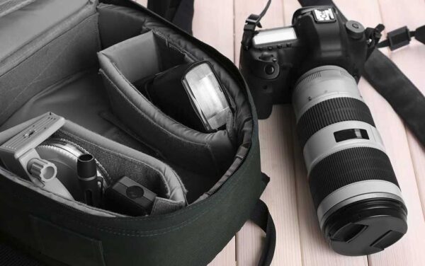 Wildlife Photography: The Ultimate Guide for Beginners