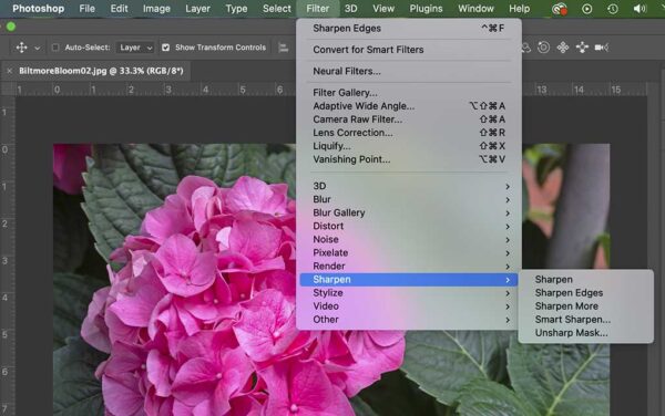 24 Tips for Taking Tack Sharp Photos